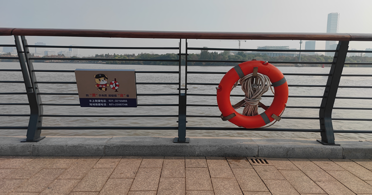 上海外滩有人跳黄浦江？保安民警合力营救_天维新闻频道 - Skykiwi.com