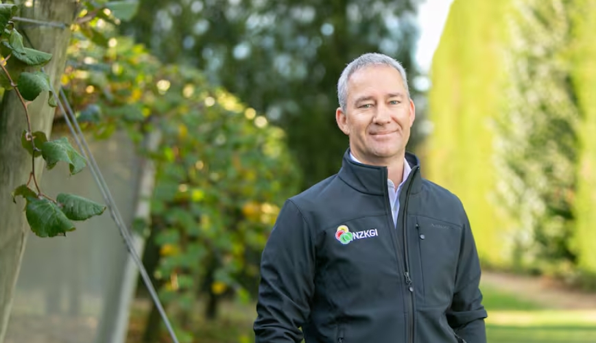 新西兰奇异果迎来大丰收 产量创历史新高_天维新闻频道 - Skykiwi.com