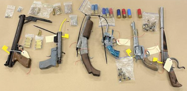 奥克兰一地址发现多把组装枪支 1男子被捕_天维新闻频道 - Skykiwi.com