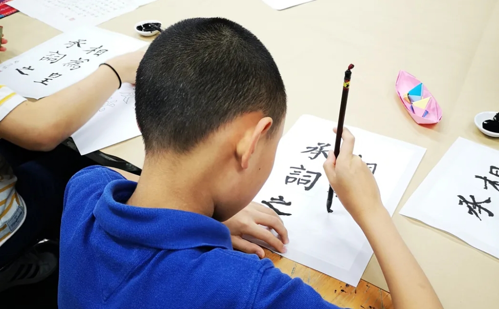 “学完就忘”，华裔家庭发愁孩子中文学习，学者认为应“因材施教”_天维新闻频道 - Skykiwi.com