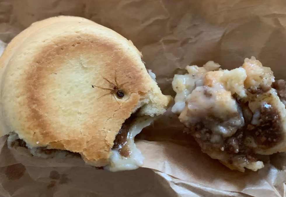 奥克兰女子在购买的馅饼上发现死蜘蛛 立即吐掉_天维新闻频道 - Skykiwi.com