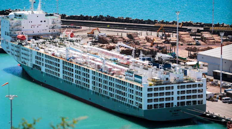 政策逆转？新西兰政府拟恢复活畜出口 中国是头部市场_天维新闻频道 - Skykiwi.com