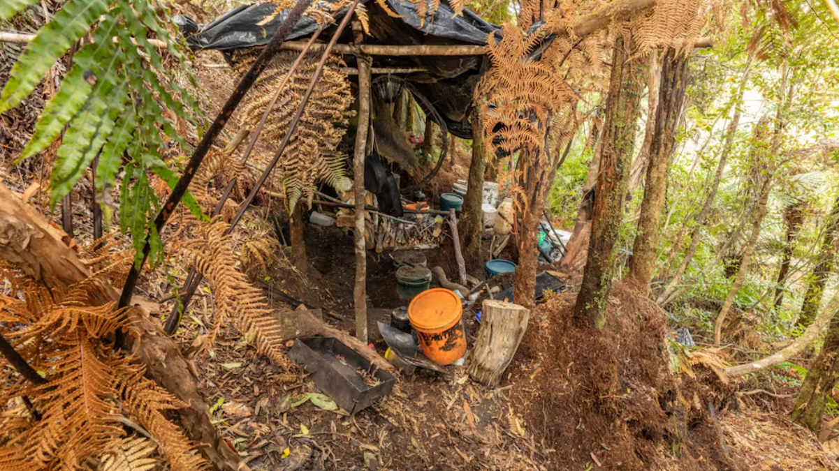 新西兰天维网_新西兰最大的中文网络门户