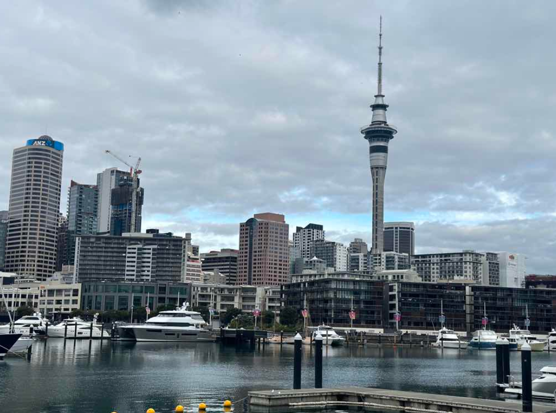 房价稳定，市场信心回升：奥克兰房市“底部反弹”信号显现_天维投资频道 - Skykiwi.com