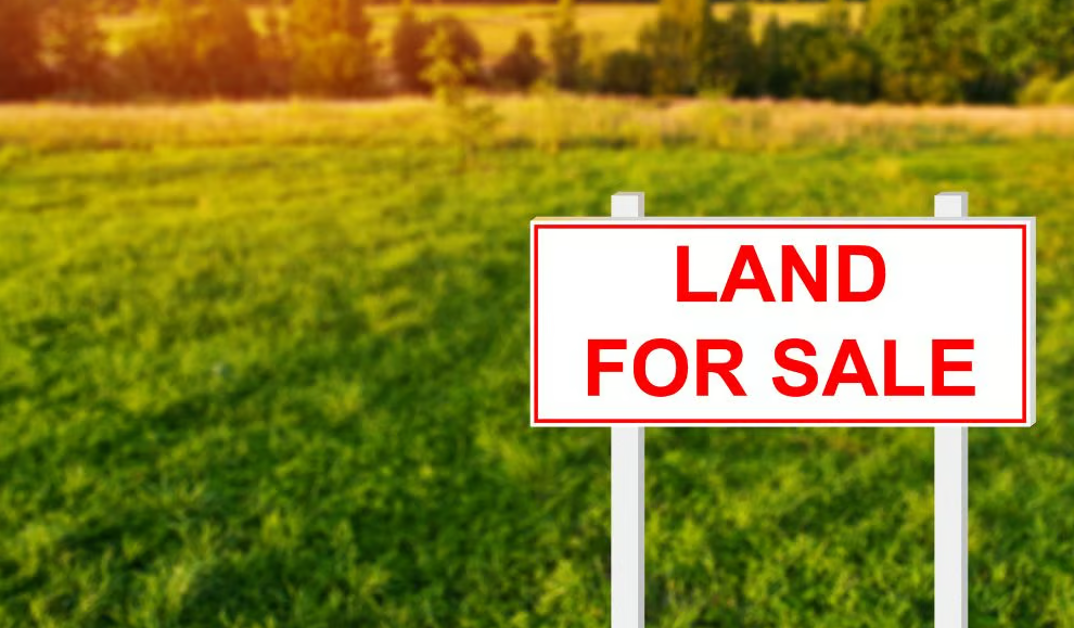 血亏200万抛售奥克兰地块 NZ公屋署遭“贱卖”国资质疑_天维新闻频道 - Skykiwi.com