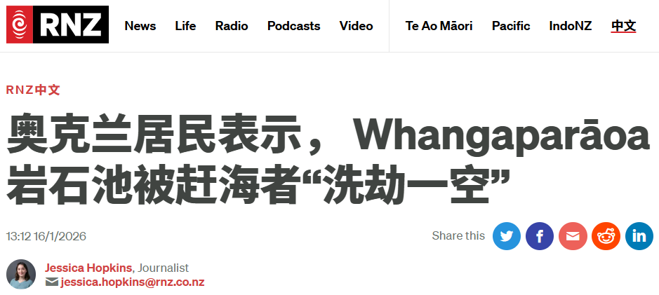 奥克兰居民表示， Whangaparāoa岩石池被赶海者“洗劫一空”_天维新闻频道 - Skykiwi.com